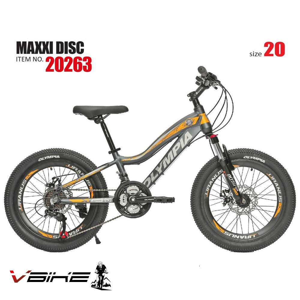 دوچرخه المپیا سایز 20 مدل Maxxi Disc 20263 - VBike